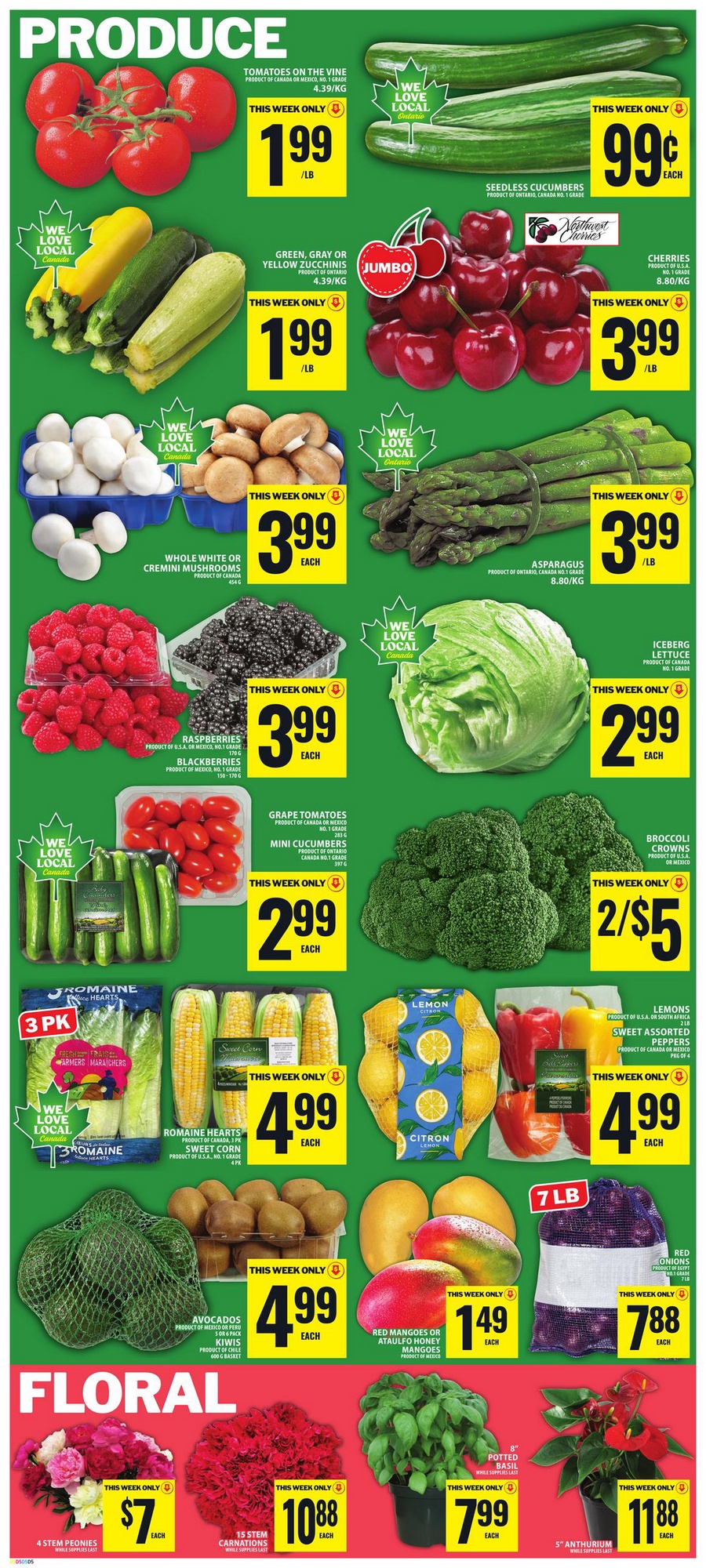Food Basics Flyer (ON) June 25 - July 1 2026