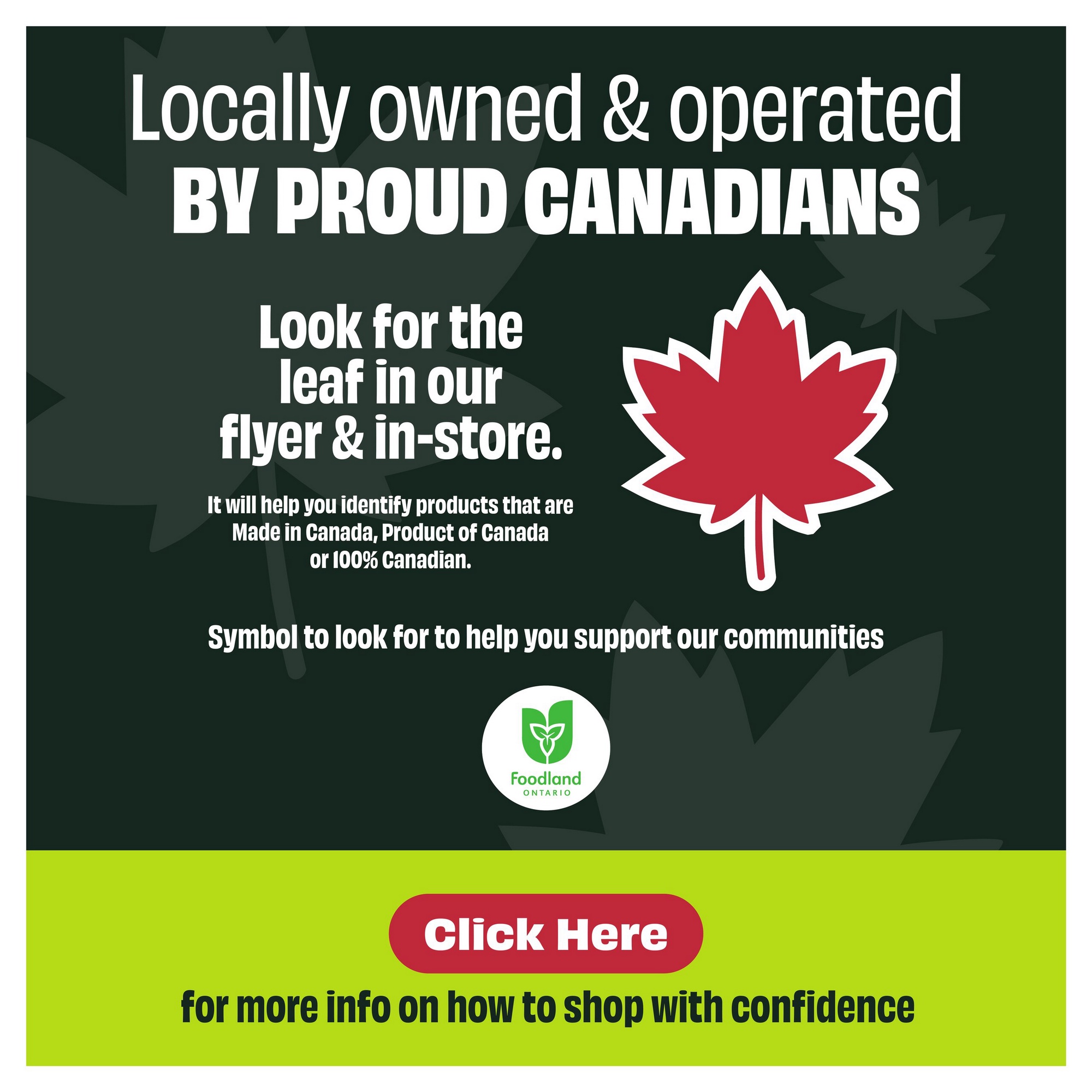 FreshCo Flyer (ON) May 15 - 21 2025