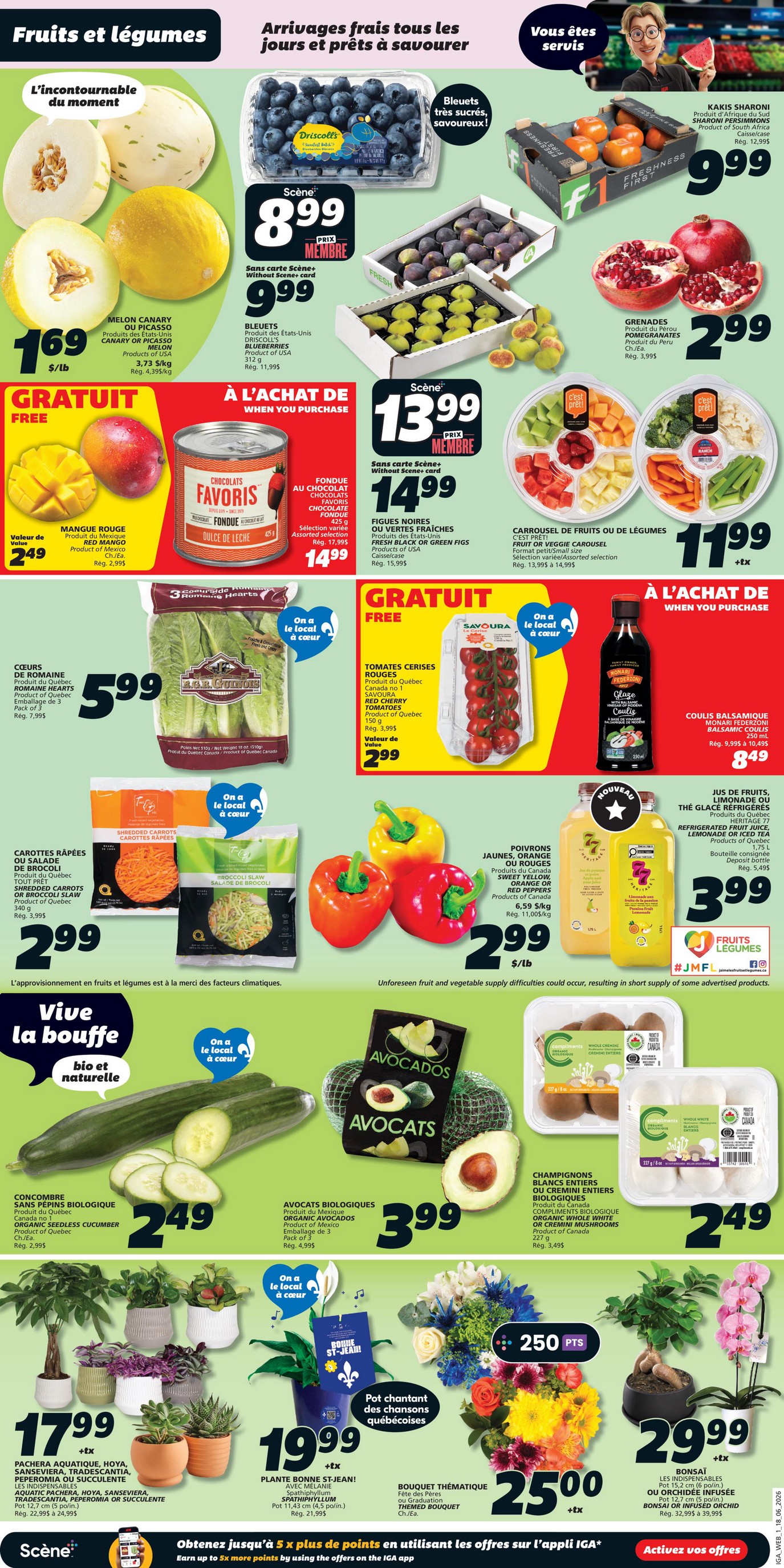 Circulaire IGA Juin 18 - 25 2026
