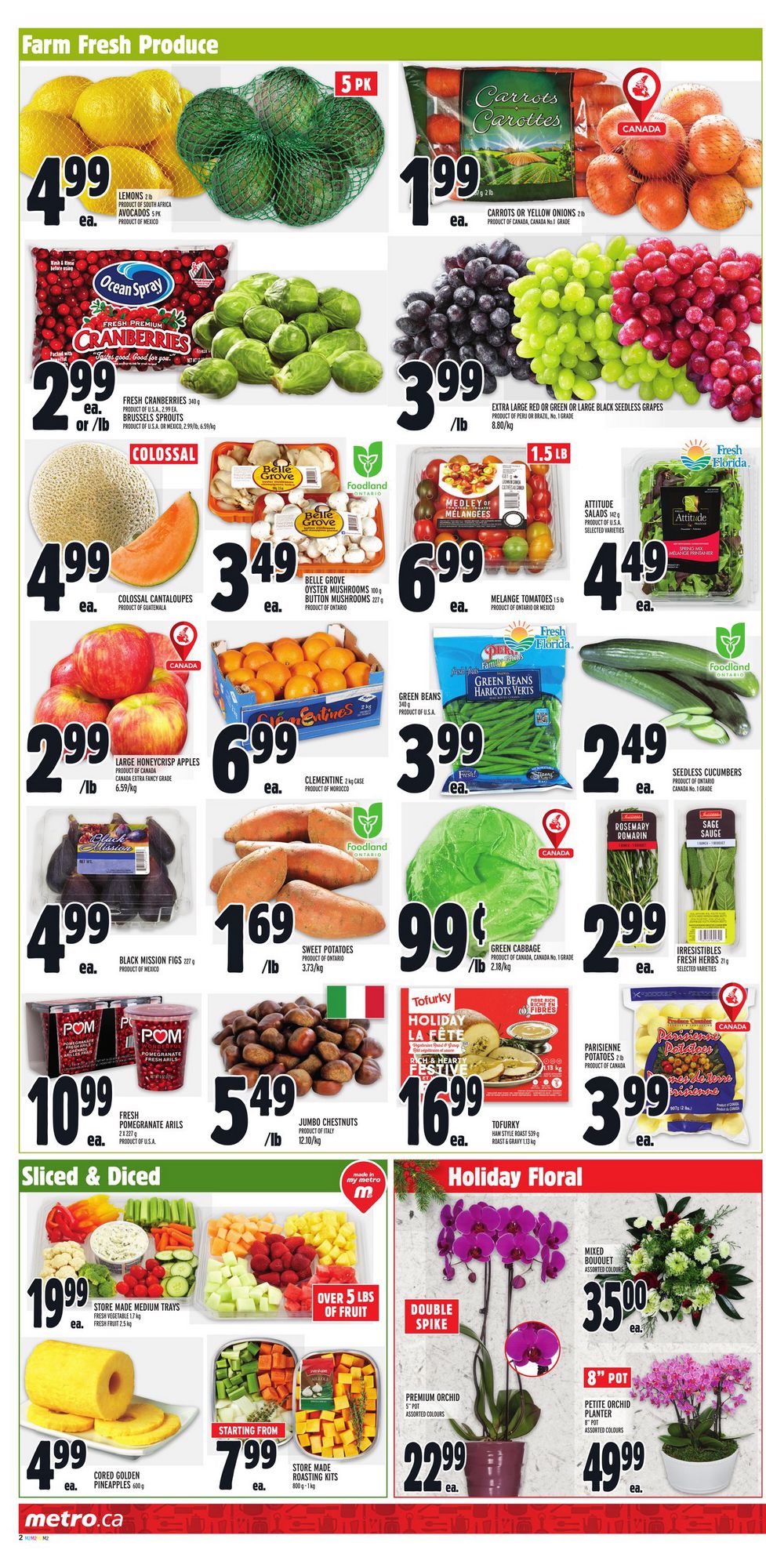 Metro Flyer (ON) December 22 - 28 2022