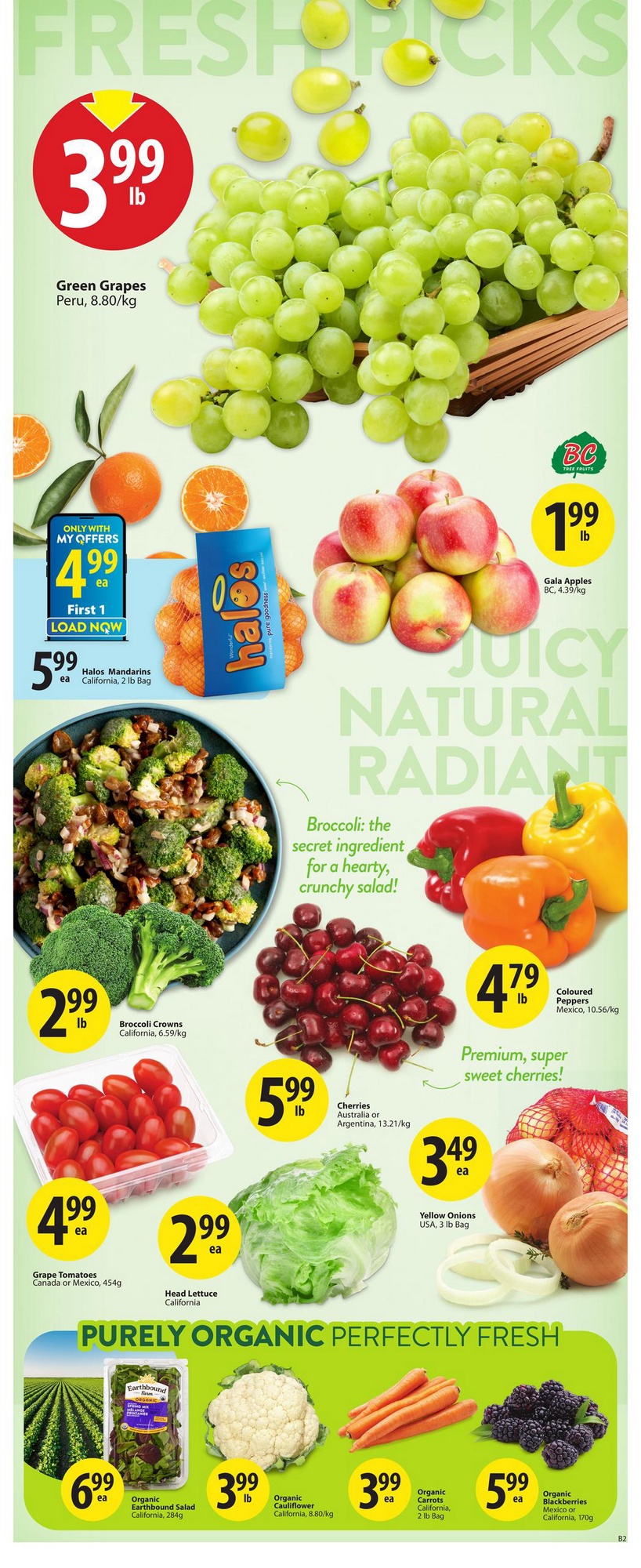 Save-On-Foods Flyer (AB) January 8 - 14 2026