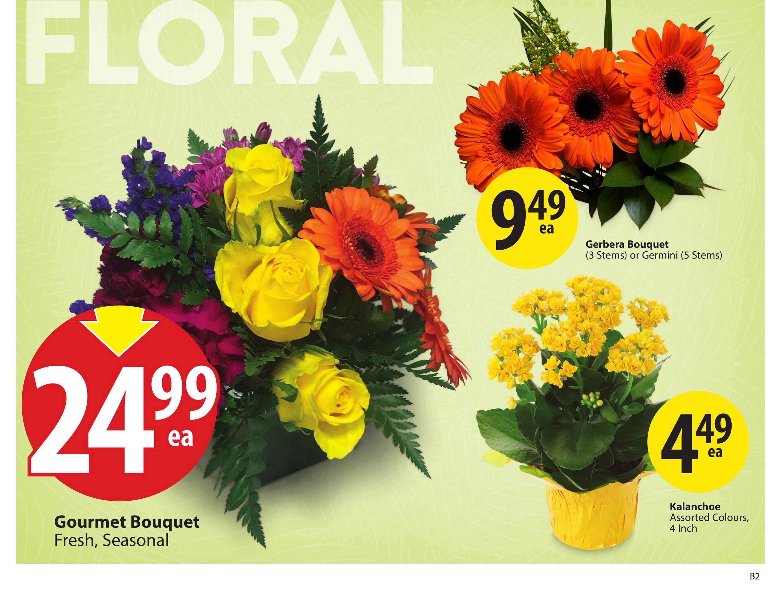 Save-On-Foods Flyer (AB) January 8 - 14 2026